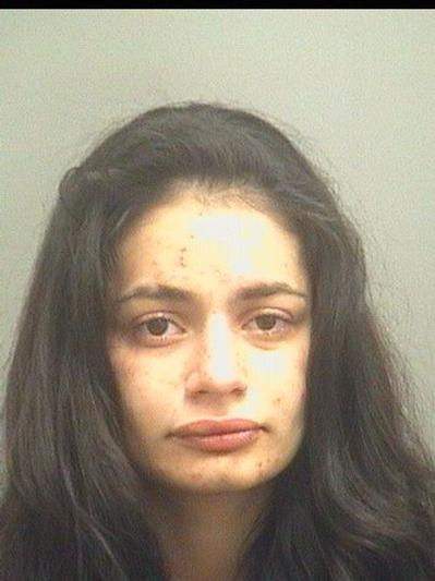 Hollywood Woman Allegedly Attacks Boca Officers - BocaNewsNow.com
