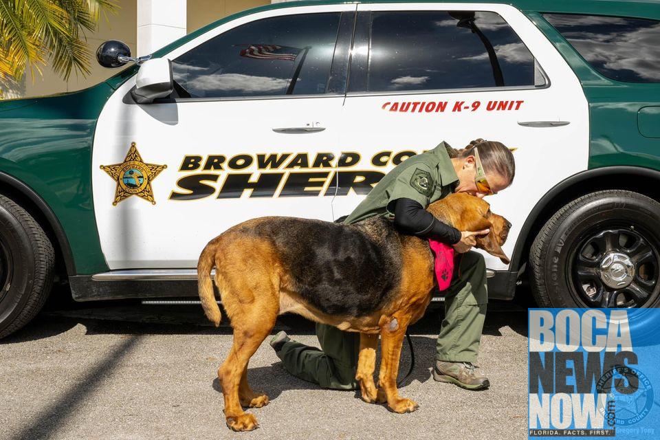 DOG DIES: Macie The Police Bloodhound, From Jimmy Ryce Center ...