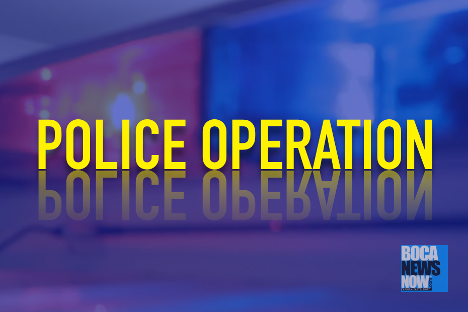 PBSO Launches Massive Seatbelt, Car Seat, School Zone Enforcement ...